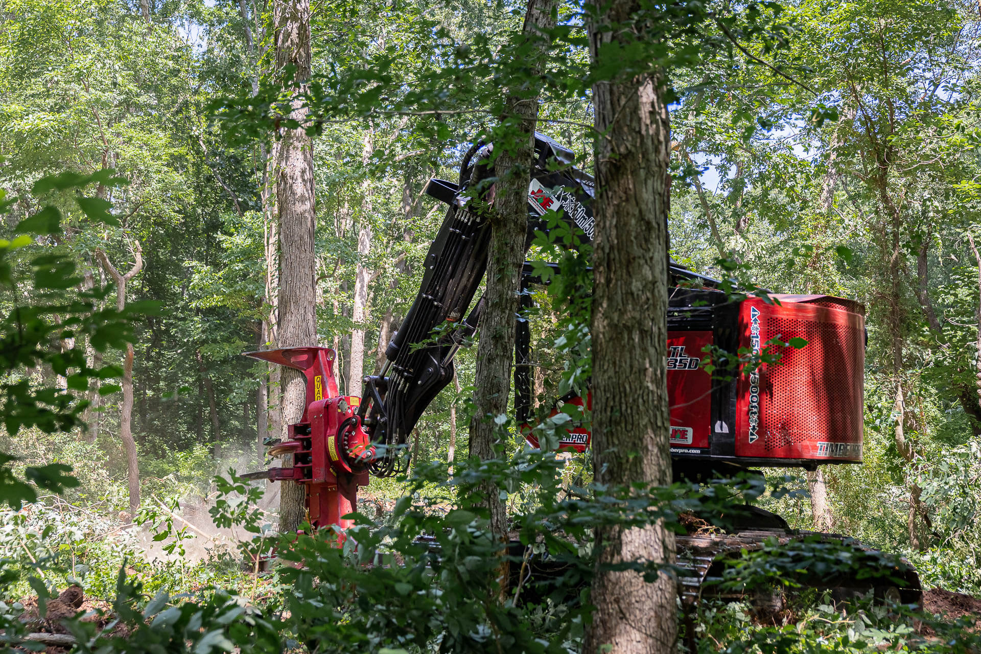 Standing Forestry - Timber Harvesting - Stoltzfus Forest Products